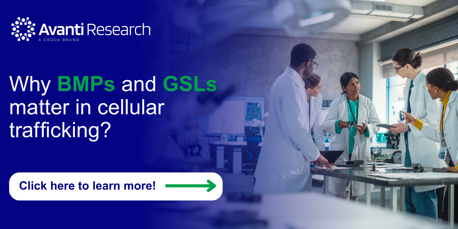 BMP & GSLs: Exploring Their Role in Endosomal Trafficking | Avanti Research